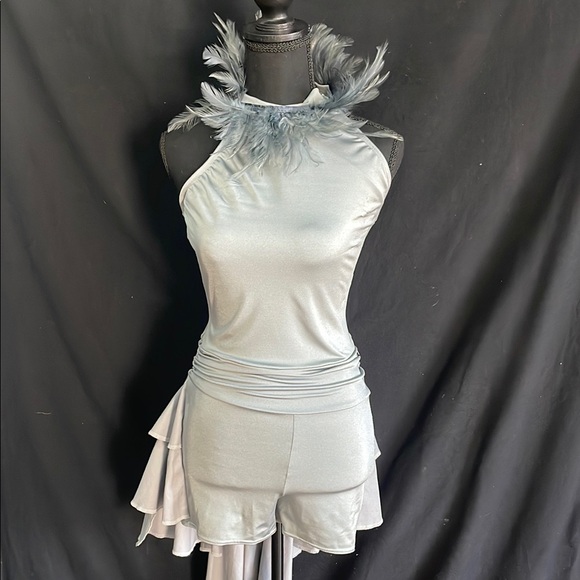 Kelle | Dresses | Elegant Gray Feathered Dance Costume | Poshmark